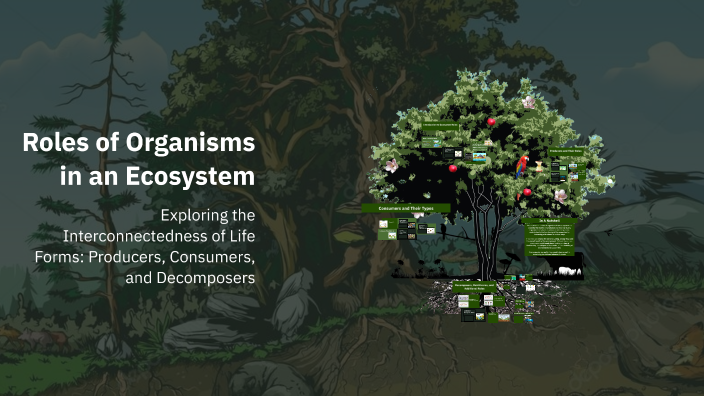 Roles of Organisms in an Ecosystem by Daniel Silvanus Parker on Prezi