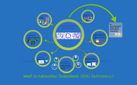 Adenosine Deaminase (ADA) deficiency by Morgan Sprouse on Prezi