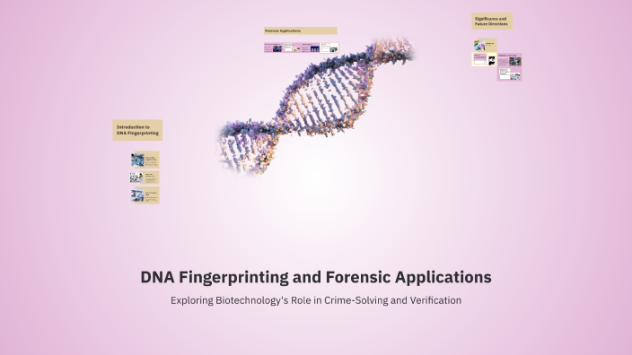 DNA Fingerprinting and Forensic Applications by MD TF on Prezi