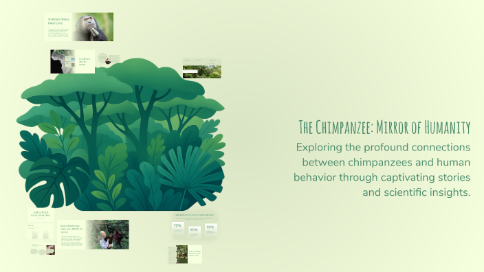 The Chimpanzee: Mirror of Humanity by RASHMI PARWANI on Prezi