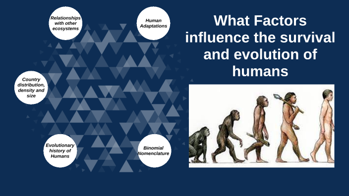 What factors influence the survival and evolution of humans? by Donny ...