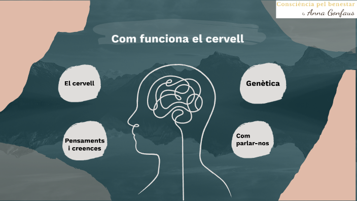 Com funciona el Cervell by Anna Gonfaus on Prezi