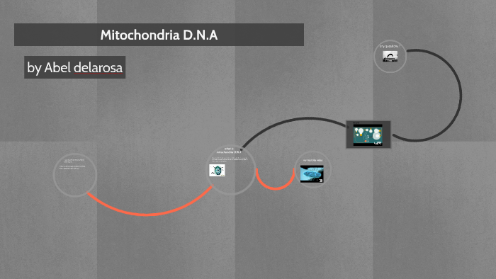 mitochondria D.N.A by abel delarosa