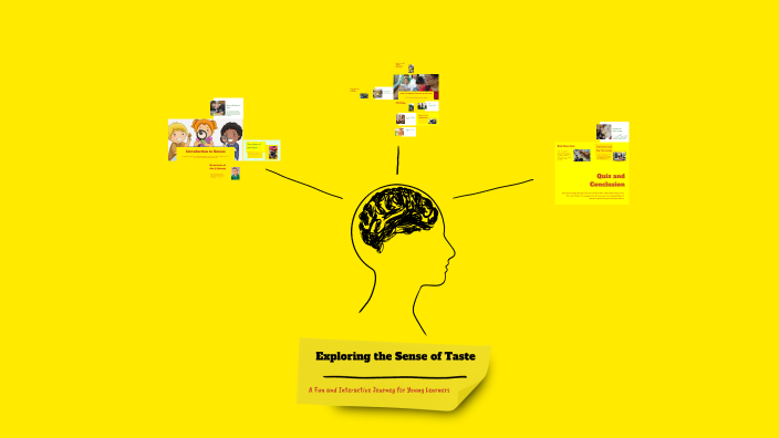 Exploring Our Sense of Taste by Iris on Prezi