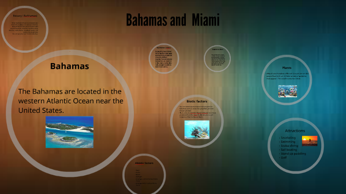 Bahamas Eutruary Tropical rainforest, Temperate Forest by shaan patel ...
