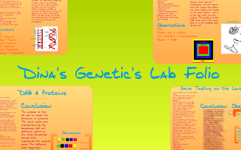 Dina's Genetics Living Environment Lab Folio by Dina Cefalu