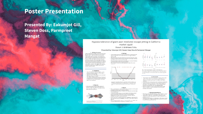 Poster Presentation by Steven Doss on Prezi