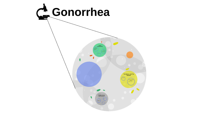Gonorrhea by Paige Pittman 45 (STUDENT) on Prezi