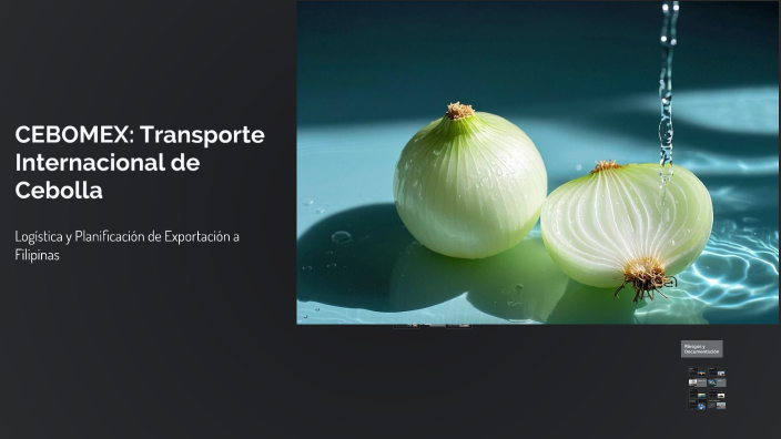 CEBOMEX: Transporte Internacional de Cebolla by MARIA FERNANDA SOTO ...