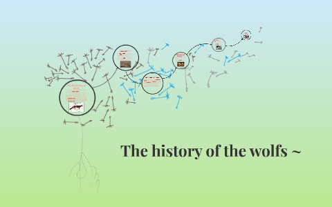 The evolution of wolfs by emma schoville