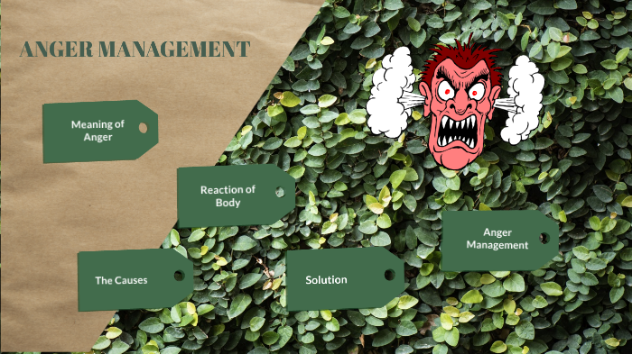 Anger Management by Sushmita Kaushik Mallik on Prezi