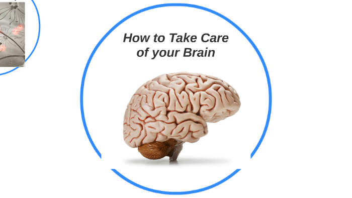 How to Take Care of your Brain by Rachel Neustadt on Prezi
