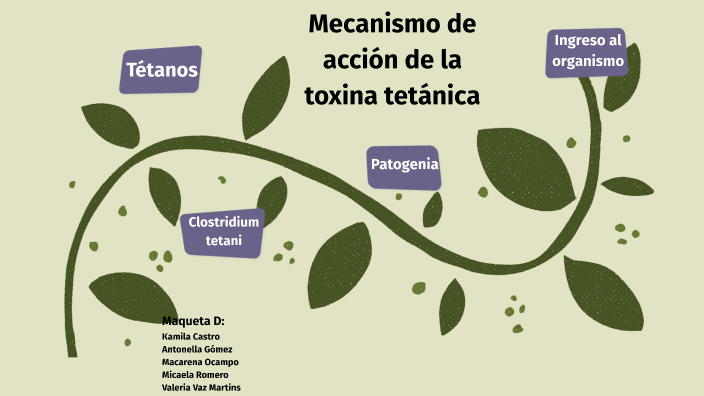 Toxina tetanica by Juan Romero on Prezi