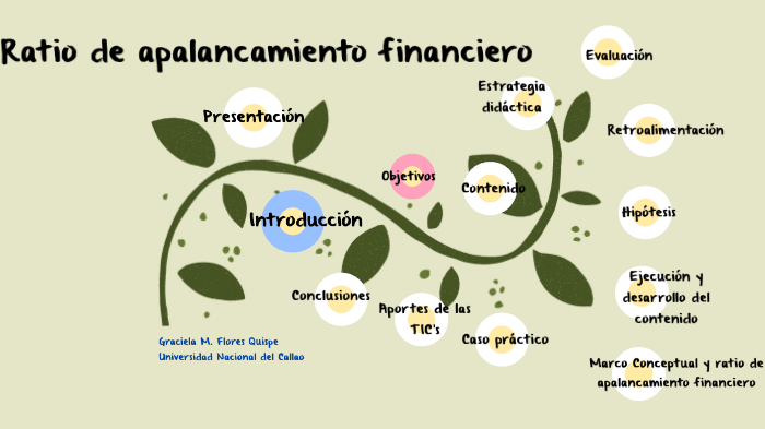 Ratio de apalancamiento financiero 2018A by Graciela Flores on Prezi