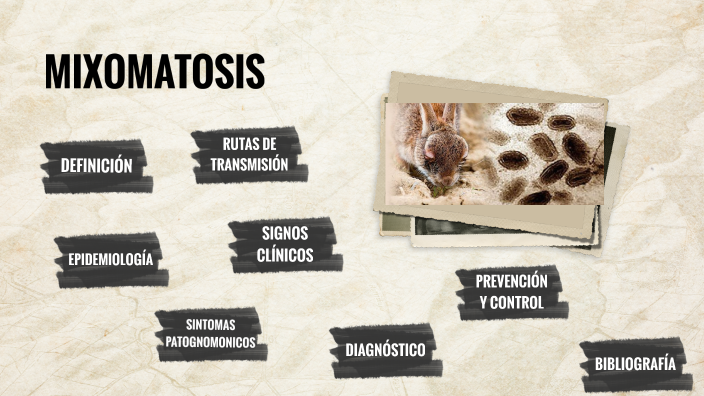 Mixomatosis by Fernanda Jijón on Prezi
