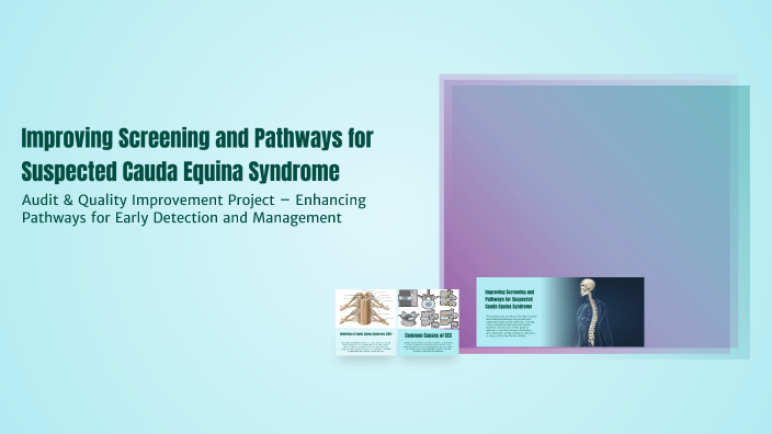 Improving Screening and Pathways for Suspected Cauda Equina Syndrome by ...