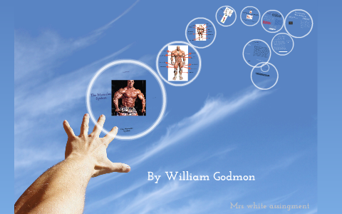 The Muscular System by Will Godmon on Prezi