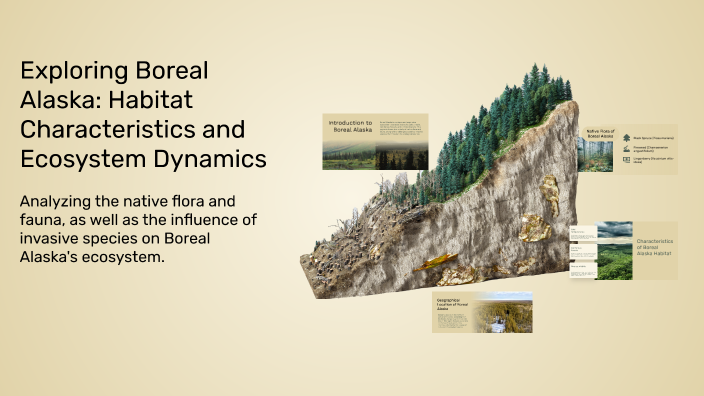 Exploring Boreal Alaska: Habitat Characteristics and Ecosystem Dynamics ...