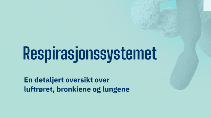 Respirasjonssystemet by Oda Amundsen Toresen on Prezi