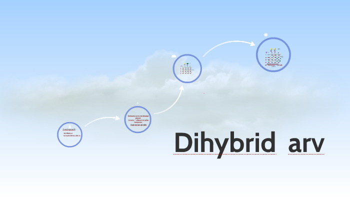 Dihybrid arv by Helen Helbæk on Prezi