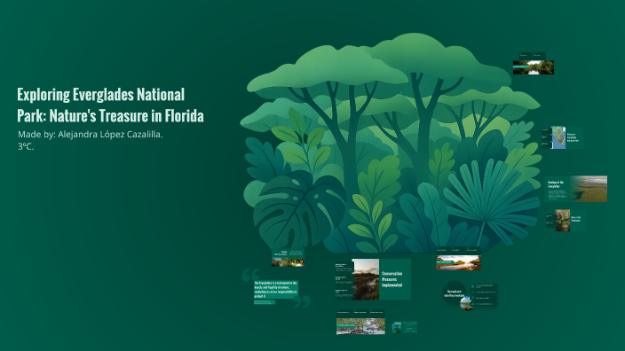 Exploring Everglades National Park: Nature's Treasure in Florida by ...