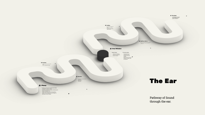 Ear Pathway by Hunter Shouldice on Prezi