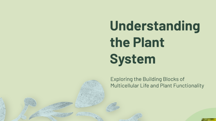 Understanding the Plant System by Jo shia Arrez on Prezi