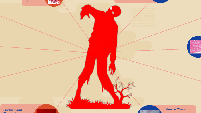 Zombie Histology Project by Kadence Wilborn on Prezi