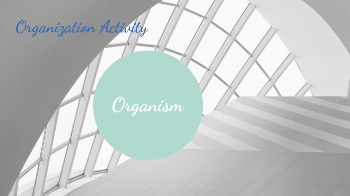 Organization Activity by LILA TIKE on Prezi