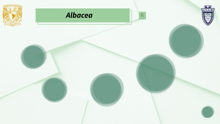Albacea by Ricardo Villanueva on Prezi