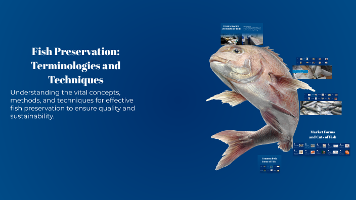 Fish Preservation: Terminologies and Techniques by John Andrei Andoy on ...