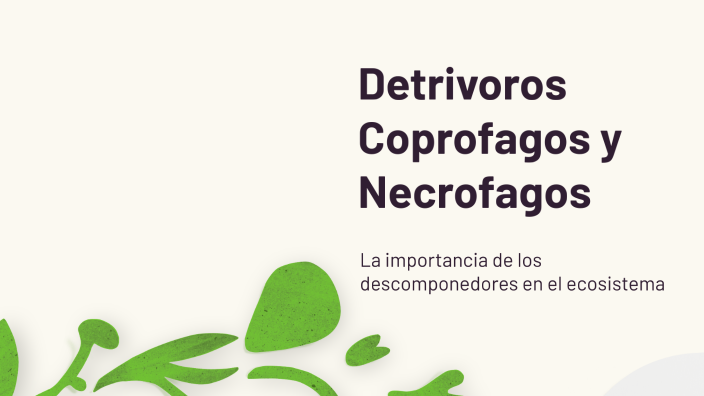 Detrivoros Coprofagos y Necrofagos by Jorge Hernandez on Prezi