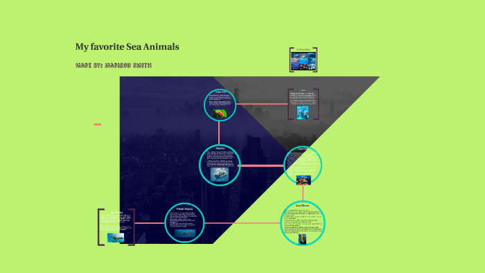 My favorite Sea Animals by madison smith on Prezi