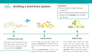 building a sand dune system Landscape by David Kilner on Prezi Design