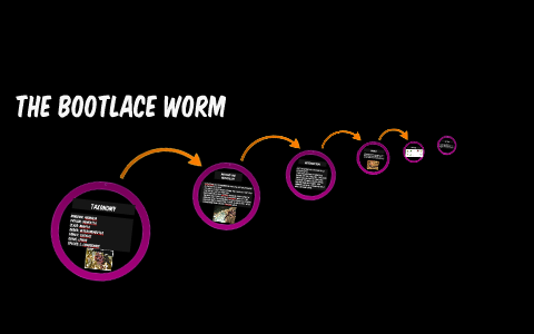 THE BOOTLACE WORM by Sarah Brown on Prezi