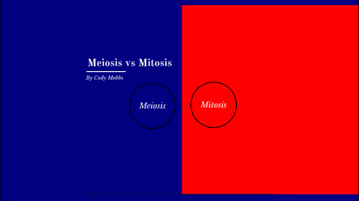 Mitosis vs. Meiosis by Cody Mobbs on Prezi