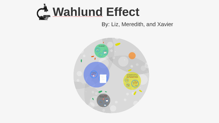 Wahlund Effect by Meredith Rossi on Prezi