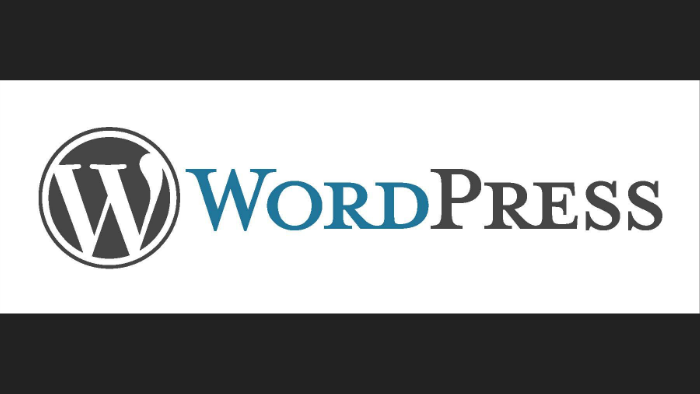 WorPress Presentation by Edin Grgic on Prezi