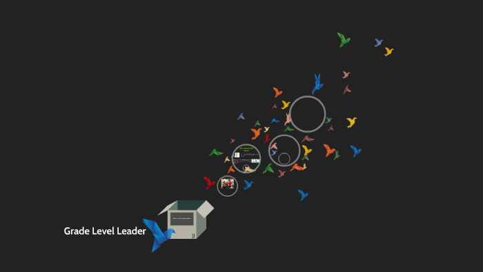Grade Level Leader by Emer Dolan