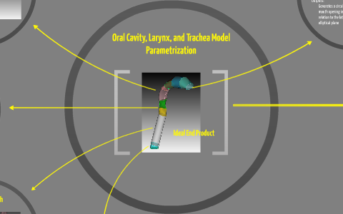 Oral Cavity, Larynx, and Glottis Model Parametrization by Yuzo Makitani ...