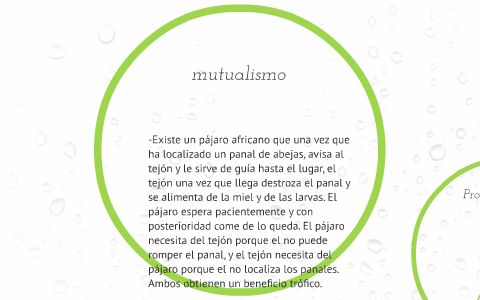 Mutualismo y Protocooperacion by on Prezi
