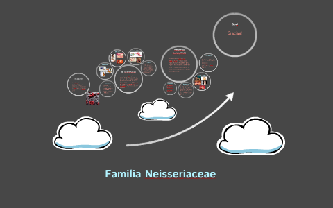 Familia Neisseriaceae by ale glez on Prezi