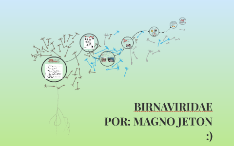 BIRNAVIRIDAE by Myguel Naulaguari on Prezi