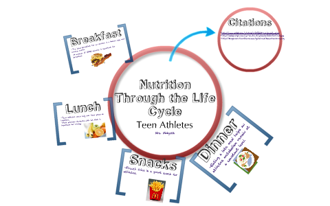 Nutrition Through the Life Cycle by Katie M on Prezi