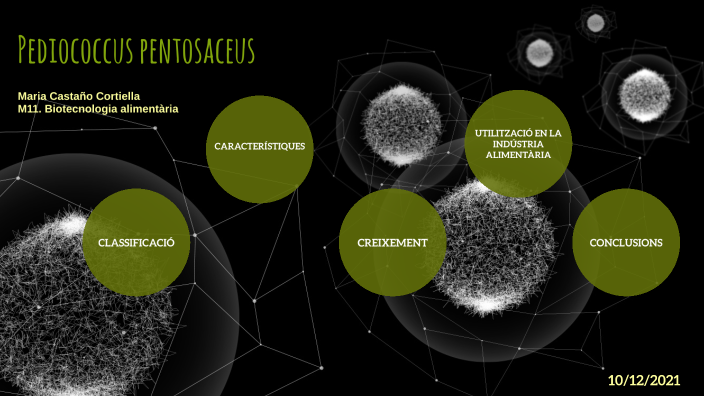 Pediococcus pentosaceus by Maria Castaño Cortiella on Prezi