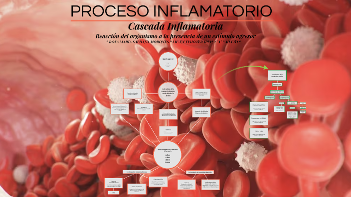 CASCADA INFLAMATORIA º INMUNOLOGÍA RMSM by ROSA MARÍA SALDAÑA MORONES ...