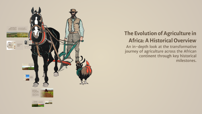 The Evolution of Agriculture in Africa: A Historical Overview by Ailen ...