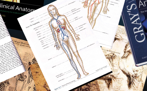 The History of Human Anatomy by Rebecca Beswick on Prezi