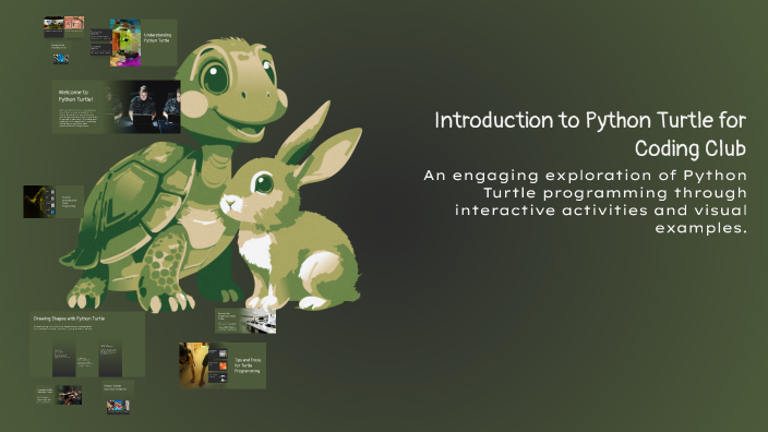 Introduction to Python Turtle for Class 9 Students by Dorji Tsherie on ...