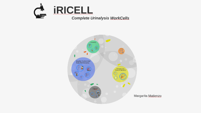 iRICELL by Margarita Matienzo on Prezi